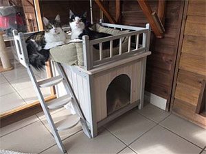 Luxury Facilities and Furniture at Brankley Cattery
