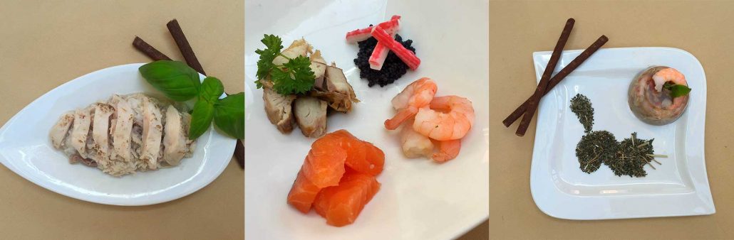 Gourmet Menu, luxury cat food option for your cats - Brankley Cattery